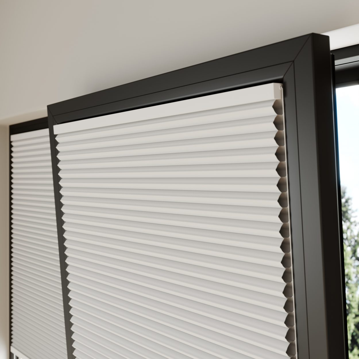 Roller Blinds | Tropical Blinds